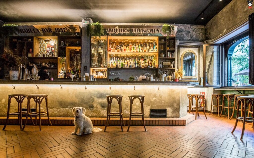 Los mejores lugares para conocer travestis en Barcelona